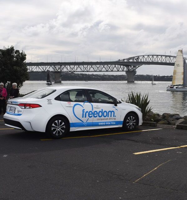 Efficient Transport for Business | Freedom Companion Driving Services
