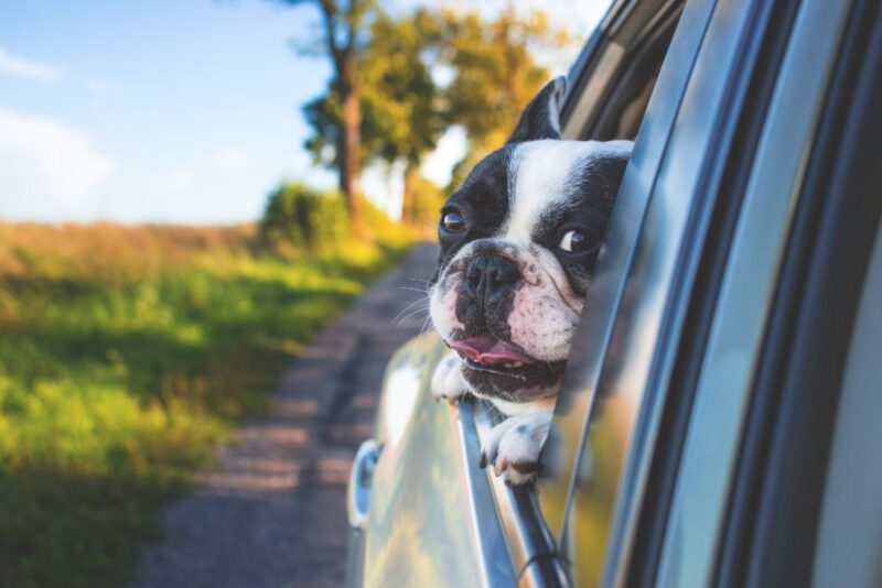Personal and Reliable Drivers | Freedom Companion Driving Services