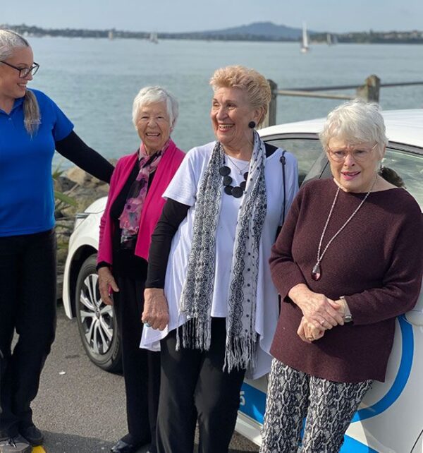 Transport for social events and scenic drives | Freedom Companion ...